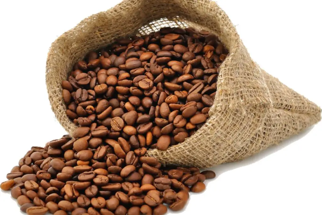 Are Coffee Beans Real Beans?