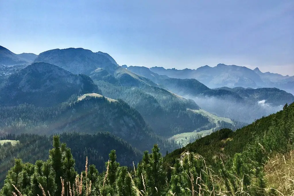 The Significance of the Kaffa Region in the History of Coffee ...