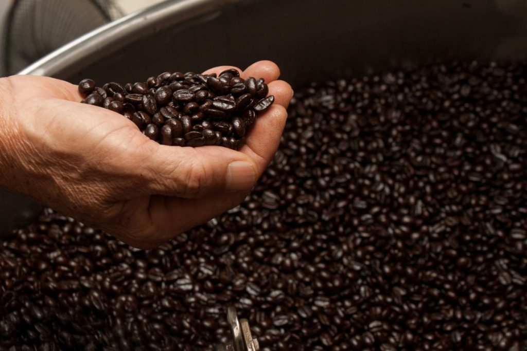 What Does Freshly Roasted Coffee Look Like?